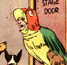 Parrot (Earth-Two) | DC Database | Fandom