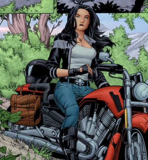 Helena Wayne (Earth 2)/Gallery | DC Database | Fandom