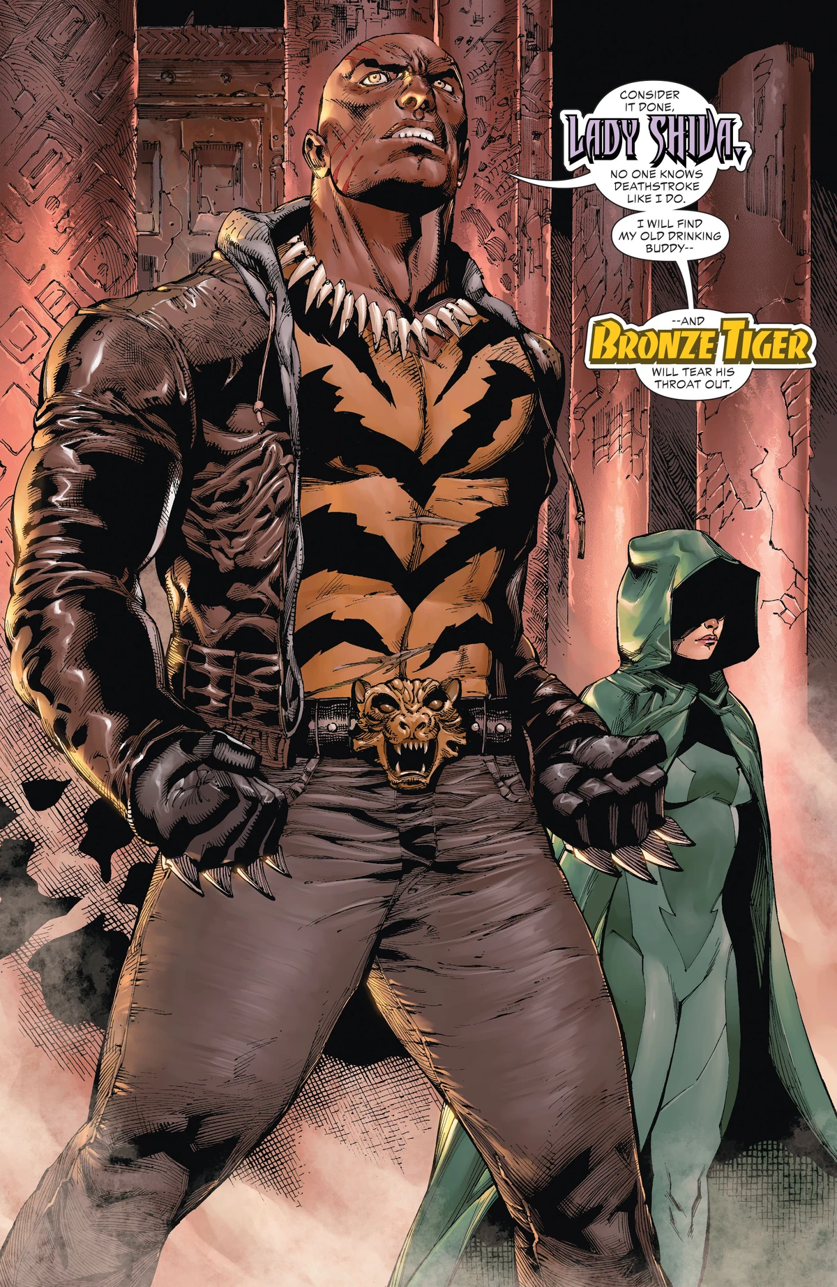 Bronze Tiger Disambiguation Dc Database Fandom