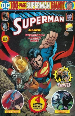 DC Comics 100 Page Giant! Vol. 1 issues 1-16 complete set Walmart ...