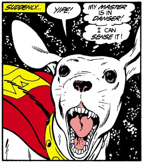 Krypto (Pocket Universe) | DC Database | Fandom
