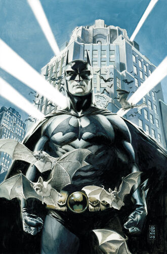 Batman Vol 1 687 | DC Database | Fandom