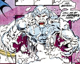 Abominable Snowman (disambiguation) | DC Database | Fandom