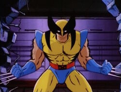 Wolverine | Marvel Animated Universe Wiki | Fandom