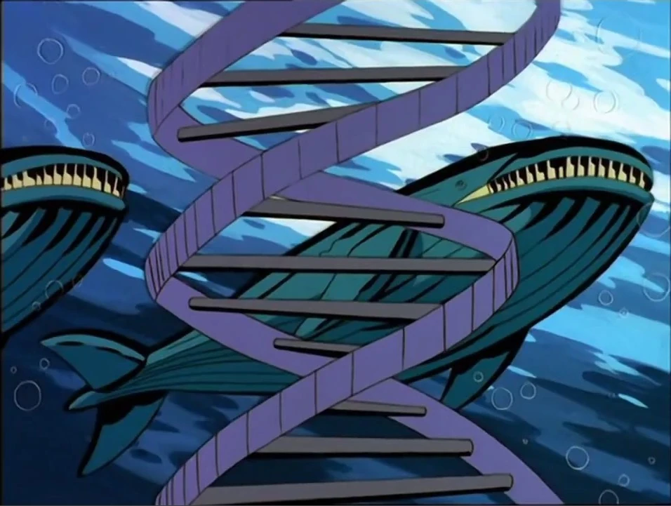 Humpback Whale | Marvel Animated Universe Wiki | Fandom