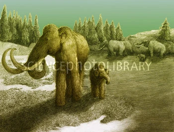Woolly Mammoth | Marvel Animated Universe Fanon Wiki | Fandom
