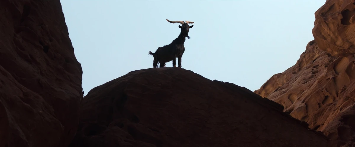 Category:Goats | Marvel Cinematic Universe Wiki | Fandom