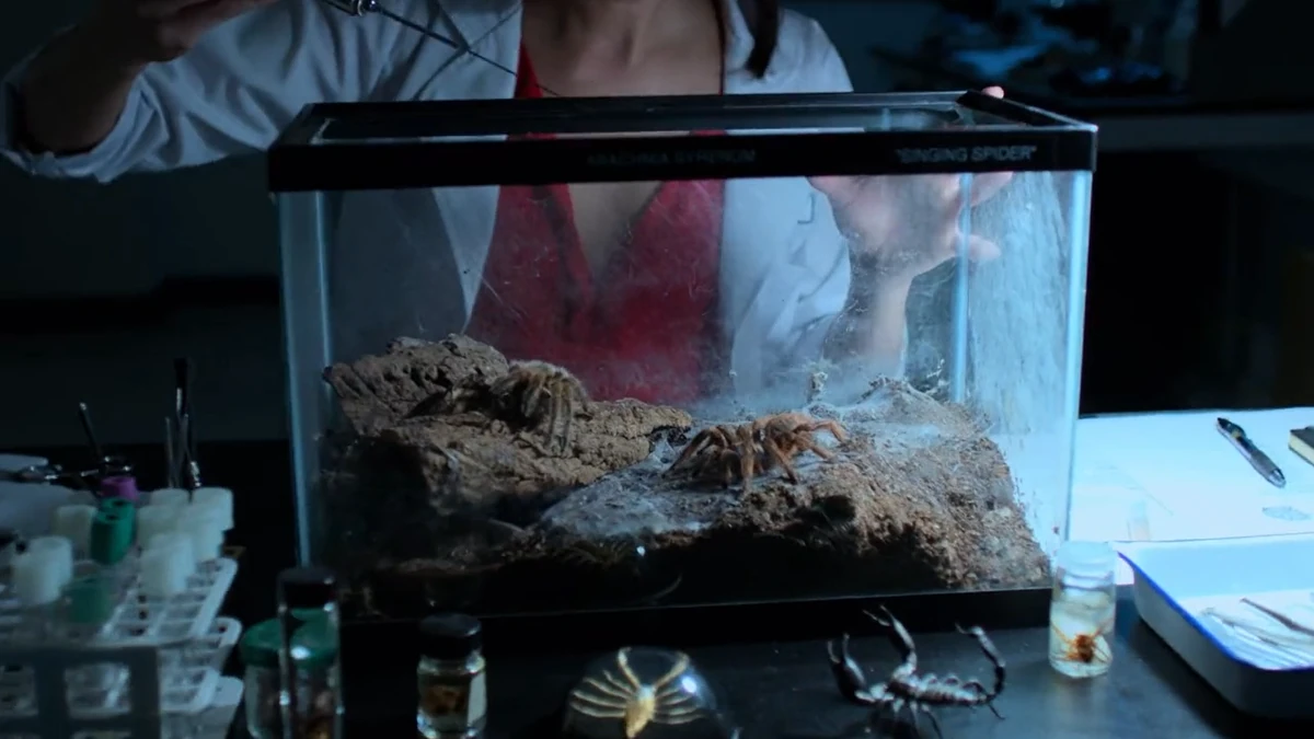 Spiders | Marvel Cinematic Universe Wiki | Fandom