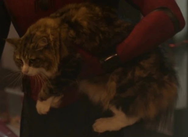 Hub:Murph | Marvel Cinematic Universe Wiki | Fandom