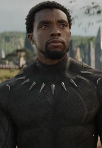T'Challa | Marvel Cinematic Universe Wiki | Fandom