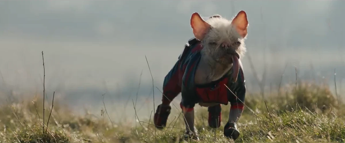 Dogpool | Gallery | Marvel Cinematic Universe Wiki | Fandom
