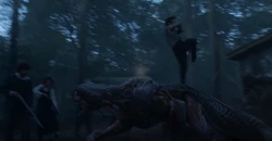 Druig | Marvel Cinematic Universe Wiki | Fandom