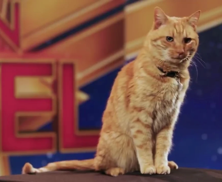 Reggie (animal actor) | Marvel Cinematic Universe Wiki | Fandom