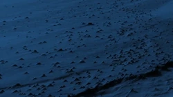 Maveth | Marvel Cinematic Universe Wiki | Fandom