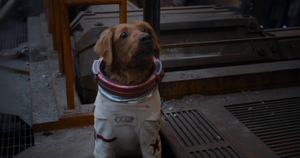 Cosmo the Spacedog | Quote | Marvel Cinematic Universe Wiki | Fandom