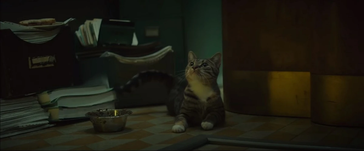 Category:Cats | Marvel Cinematic Universe Wiki | Fandom