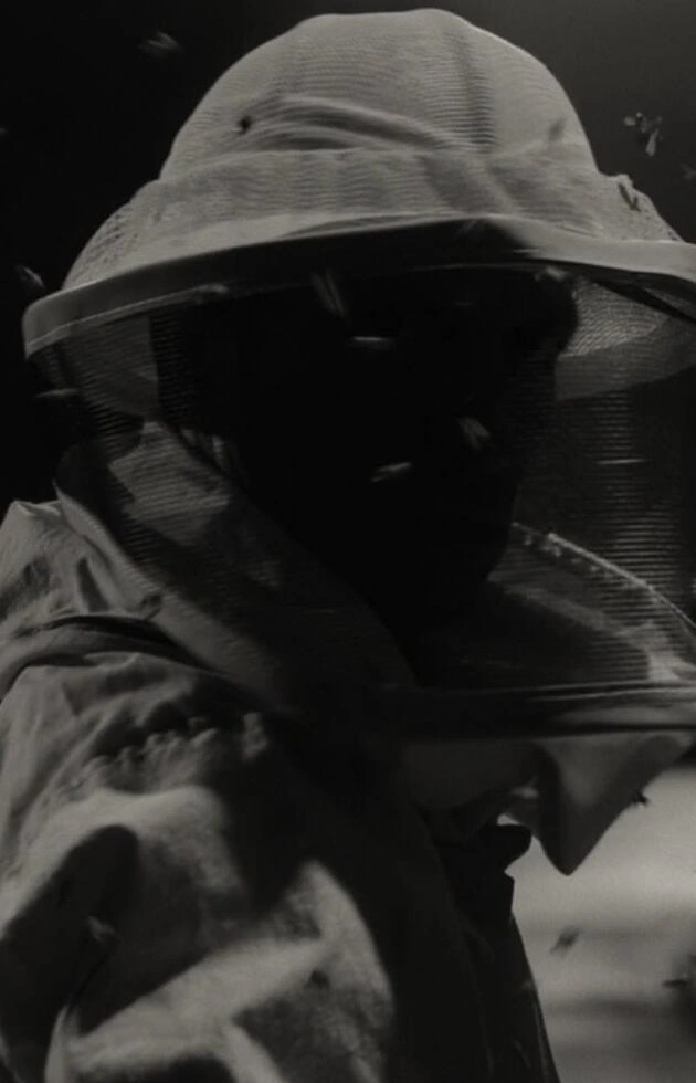 Franklin | Marvel Cinematic Universe Wiki | Fandom