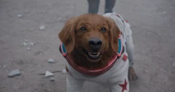 Cosmo the Spacedog | Marvel Cinematic Universe Wiki | Fandom