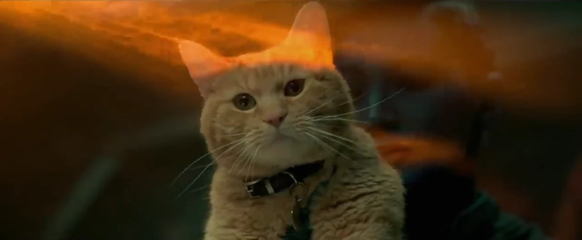 Goose | Quote | Marvel Cinematic Universe Wiki | Fandom