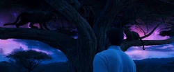 Ancestral Plane | Marvel Cinematic Universe Wiki | Fandom