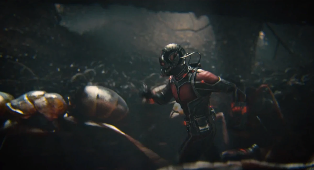 Ants | Gallery | Marvel Cinematic Universe Wiki | Fandom