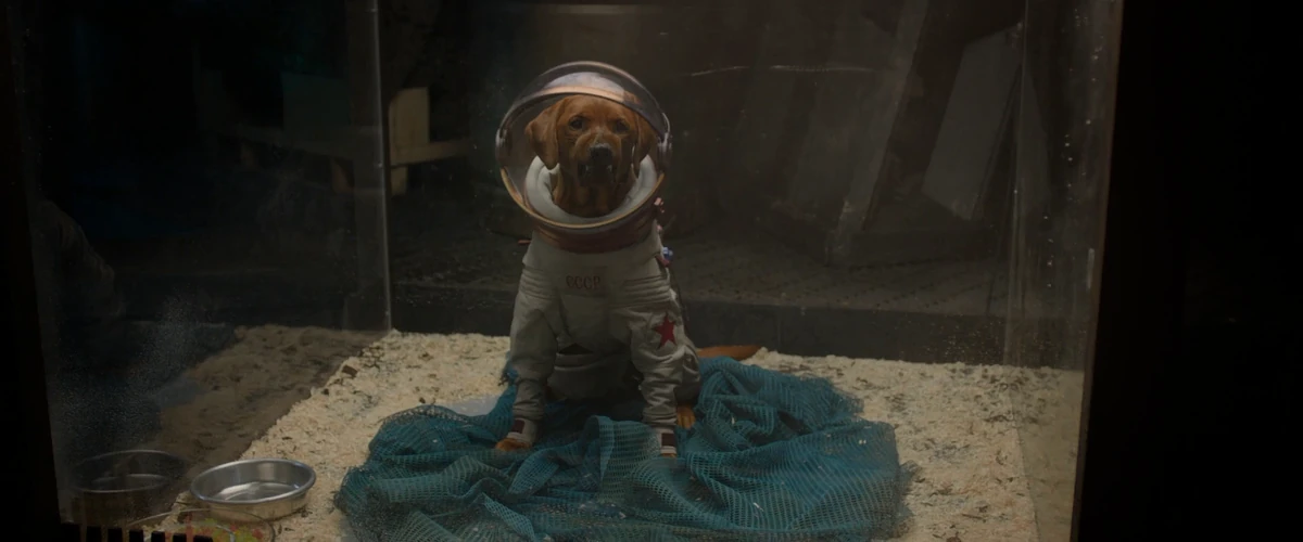 Cosmo the Spacedog | Gallery | Marvel Cinematic Universe Wiki | Fandom