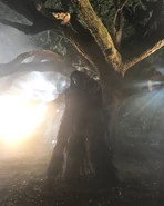 Funhouse Mirrors | Gallery | Marvel Cinematic Universe Wiki | Fandom