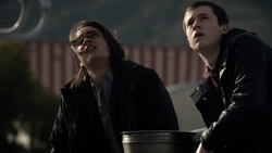 Seeds | Marvel Cinematic Universe Wiki | Fandom