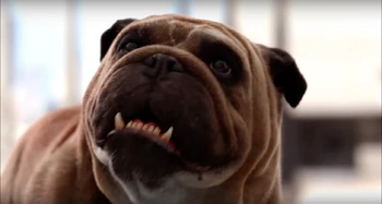 Inhuman Dogs | Marvel Cinematic Universe Wiki | Fandom