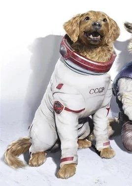 Cosmo the Spacedog | Marvel Cinematic Universe Wiki | Fandom