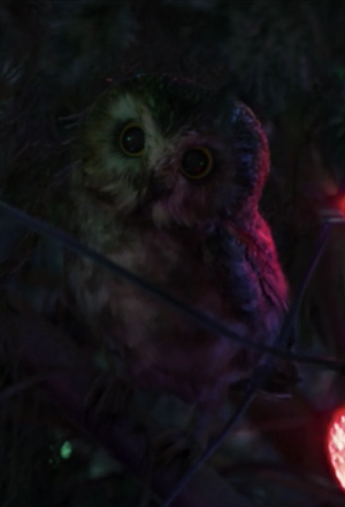 Rocky (Owl) | Marvel Cinematic Universe Wiki | Fandom
