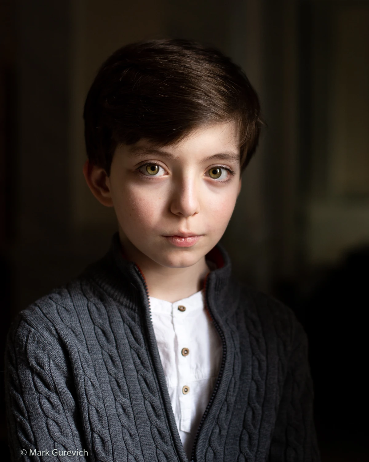 Gabriel Gurevich | Marvel Cinematic Universe Wiki | Fandom