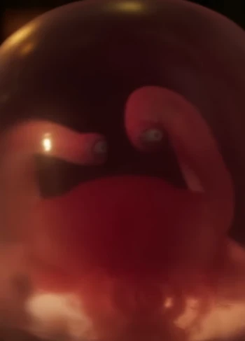 Veb | Marvel Cinematic Universe Wiki | Fandom