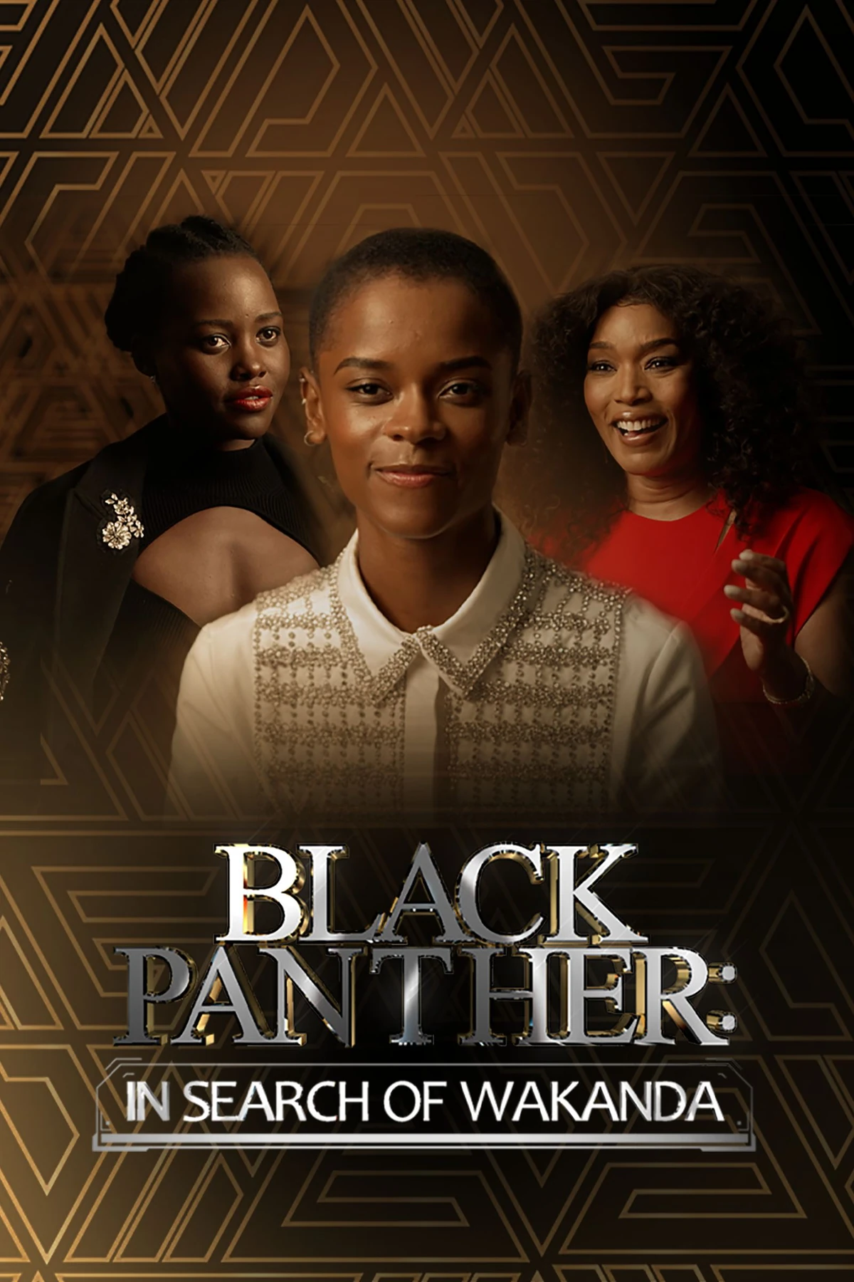 Black Panther: In Search of Wakanda | Marvel Cinematic Universe Wiki ...