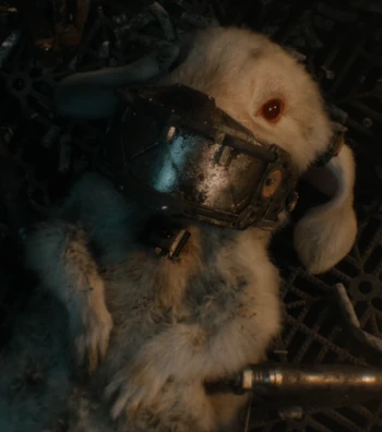 Floor | Marvel Cinematic Universe Wiki | Fandom