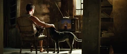 Ricky (Dog) | Marvel Cinematic Universe Wiki | Fandom