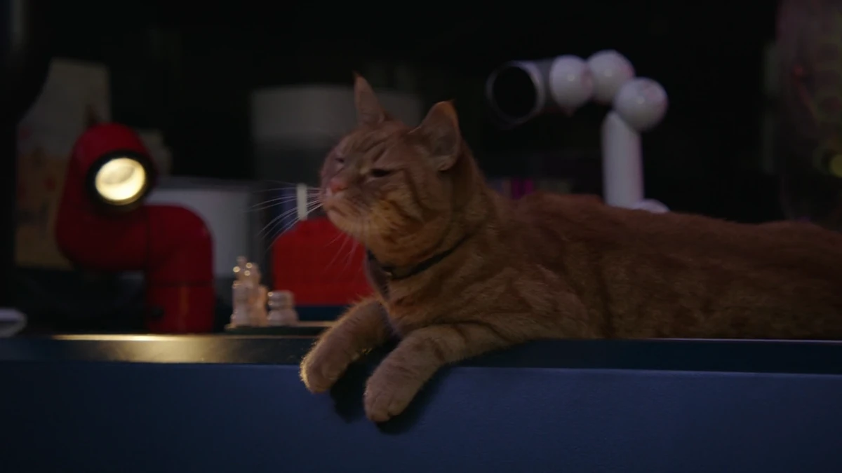 Nemo (animal actor) | Marvel Cinematic Universe Wiki | Fandom