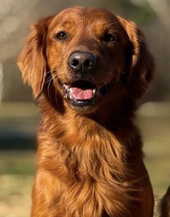 Slate (actor) | Marvel Cinematic Universe Wiki | Fandom