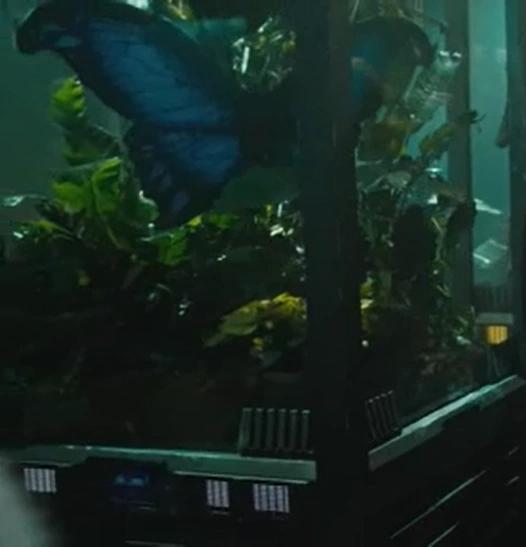 Giant Butterfly | Marvel Cinematic Universe Wiki | Fandom