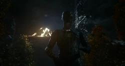 Spider-Sense | Marvel Cinematic Universe Wiki | Fandom