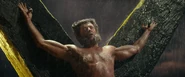 Wolverine | Crucified Wolverine | Marvel Cinematic Universe Wiki | Fandom
