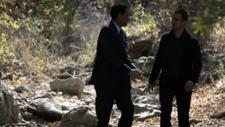 Assassination of Christian Ward | Marvel Cinematic Universe Wiki | Fandom