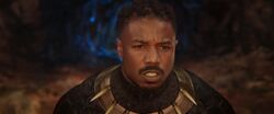 Erik Killmonger's Revolution | Marvel Cinematic Universe Wiki | Fandom