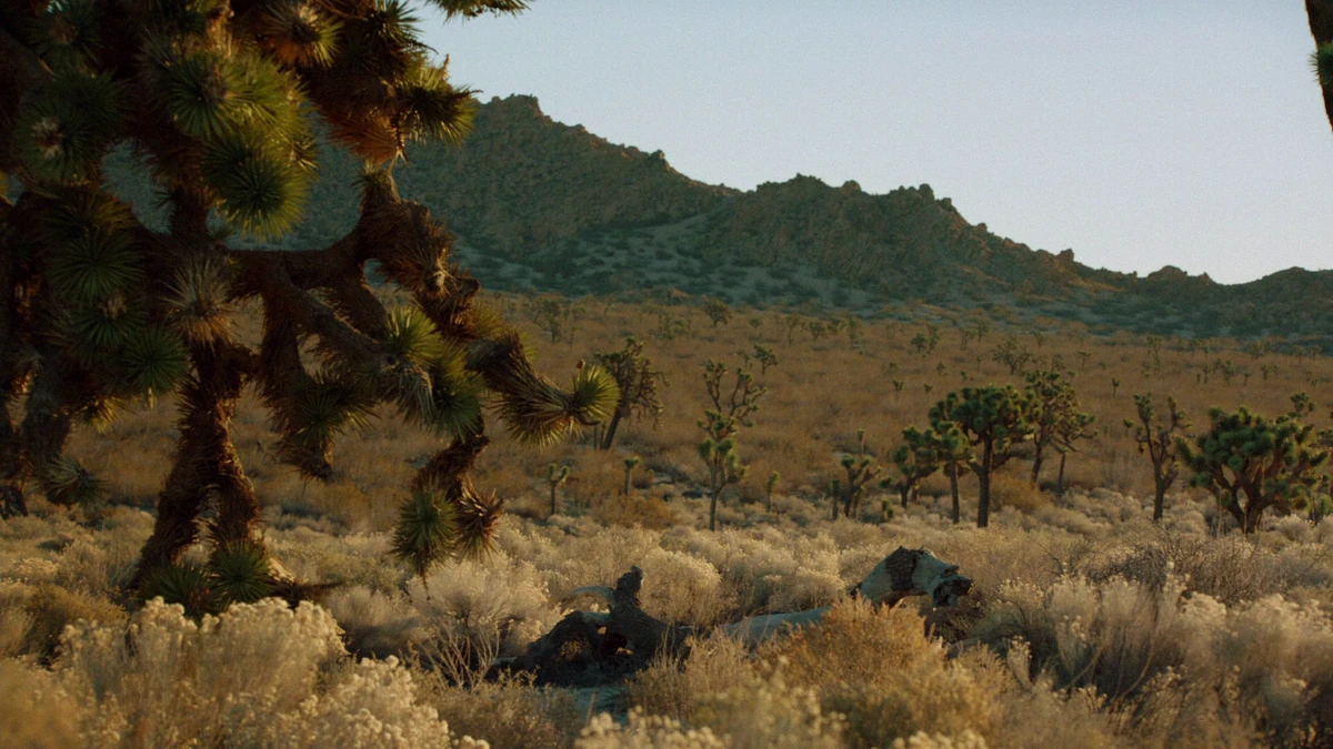 Death Valley | Marvel Cinematic Universe Wiki | Fandom