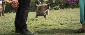 Dijiang | Marvel Cinematic Universe Wiki | Fandom