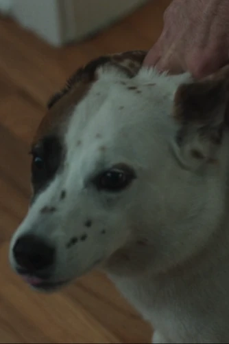 Greg | Marvel Cinematic Universe Wiki | Fandom