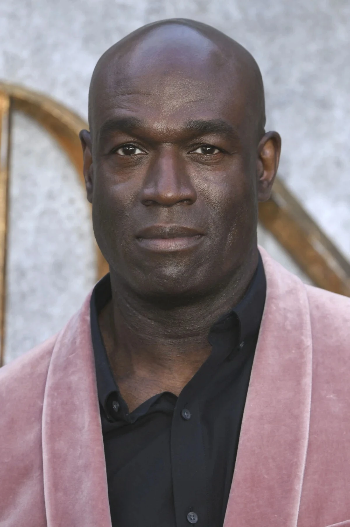 Steve Toussaint | Marvel Cinematic Universe Wiki | Fandom