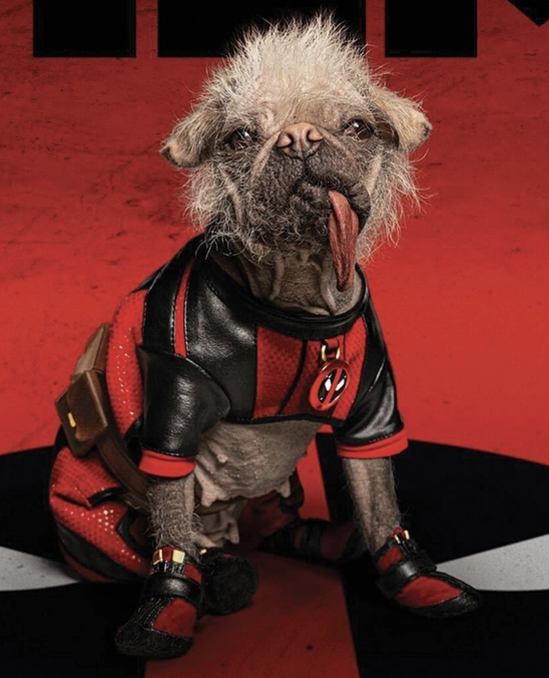 Dogpool | Marvel Cinematic Universe Wiki | Fandom