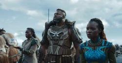 Nakia | Marvel Cinematic Universe Wiki | Fandom