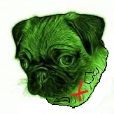 Marvel Pugs | Marvel Fanon | Fandom